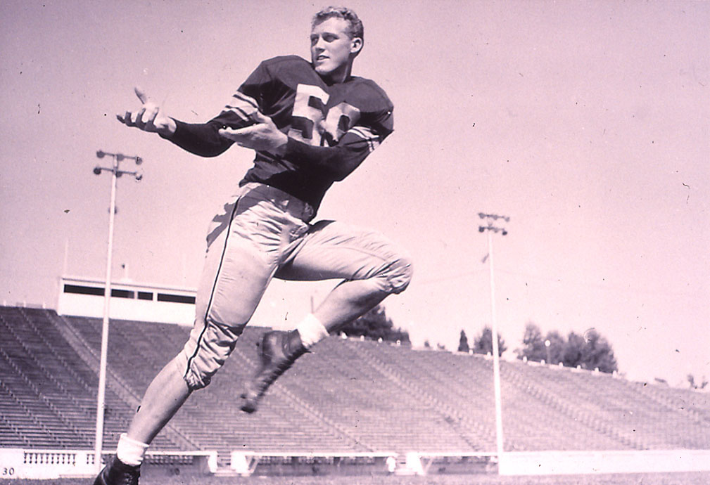 BILL WALSH – San Jose Sports Authority